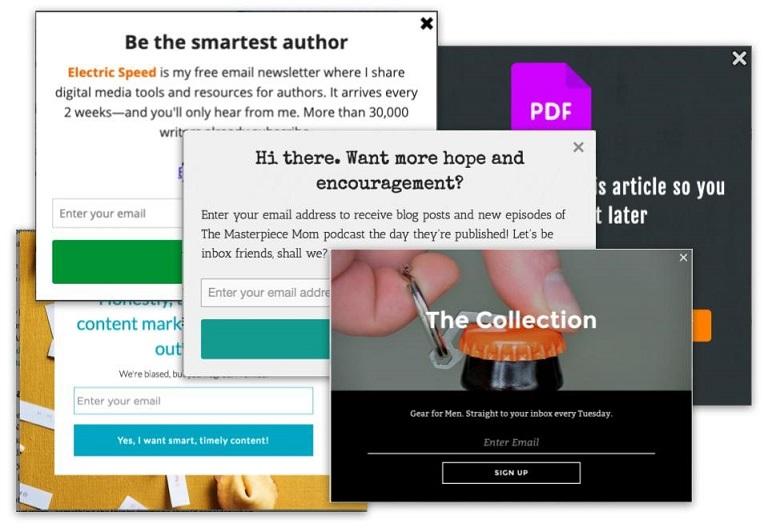 Pop up Design Examples For Your Business CXChronicles